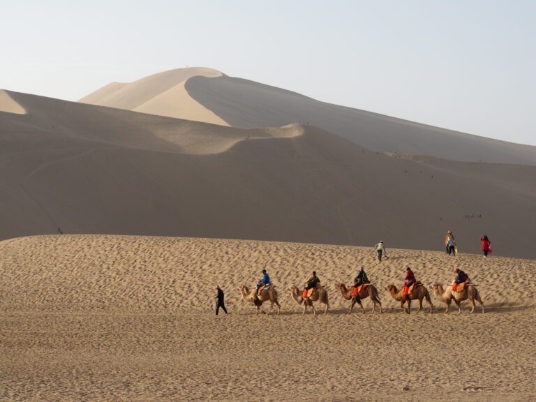 Top 7 Largest Deserts in the World (And They're Not All Hot!) - ASB GEO